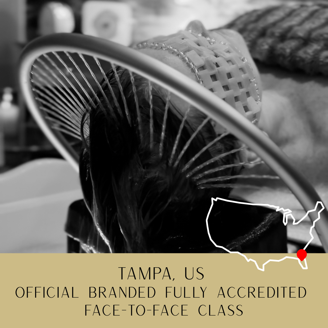 FLORIDA - Tampa - Face-To-Face Japanese Head Spa Course - Japanese Head ...